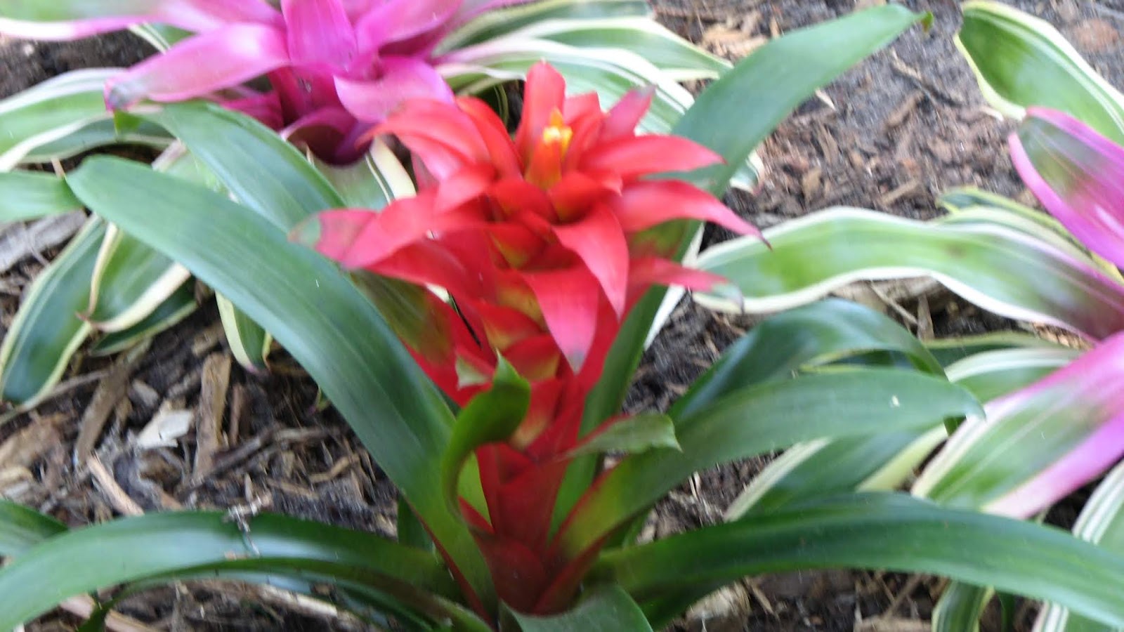 Joseph Noto Digital Art Portfolio: Photography