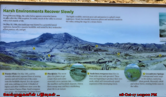 Mount St. Helens National Volcanic Monument - Exploring My Life
