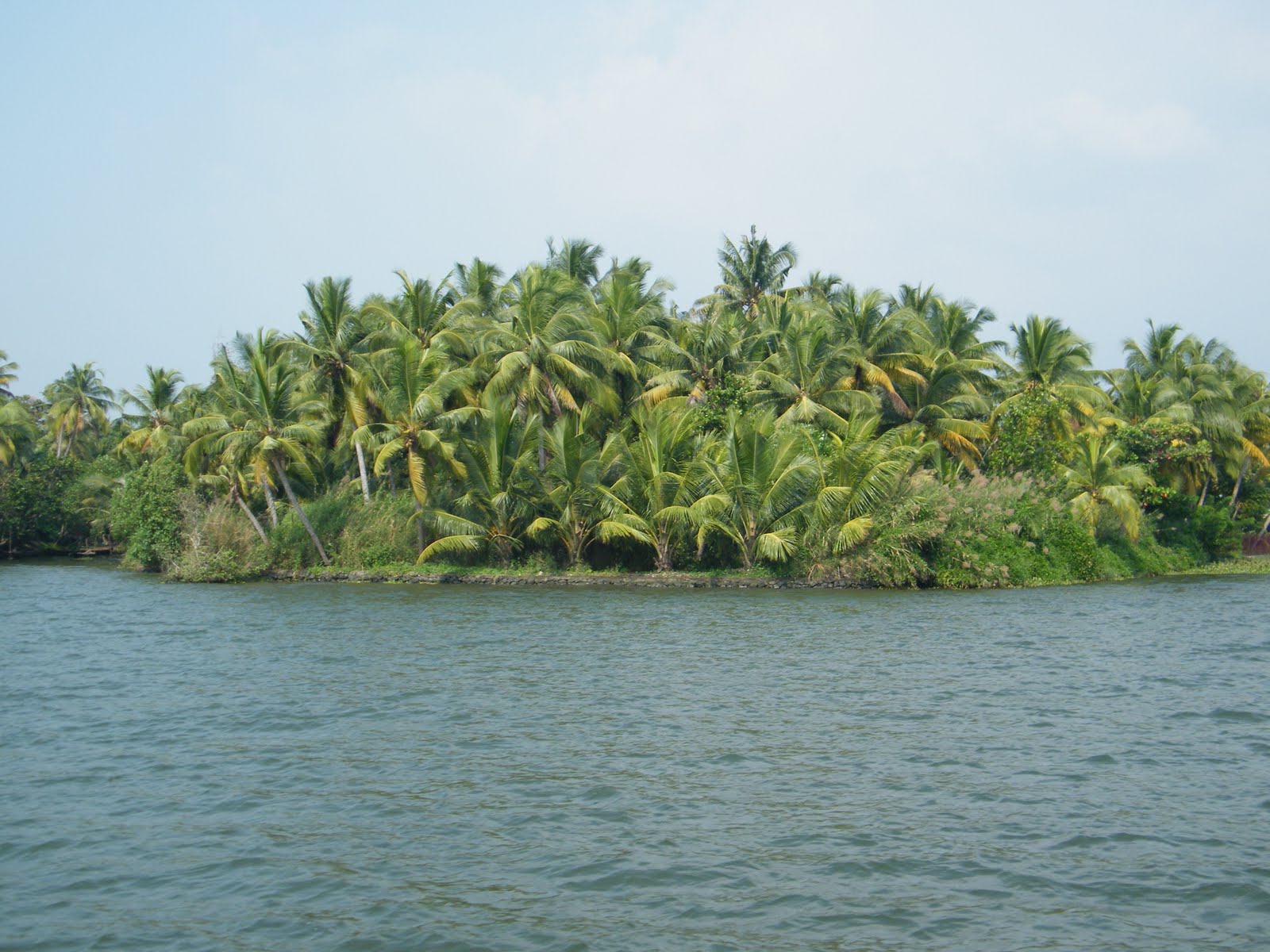 a travel to god's own state KERALA,INDIA: VEMBANAD LAKE BOATING