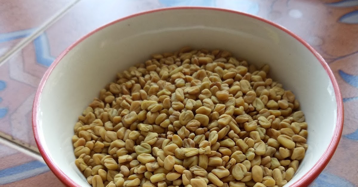 Fenugreek / Barik methi / micro green