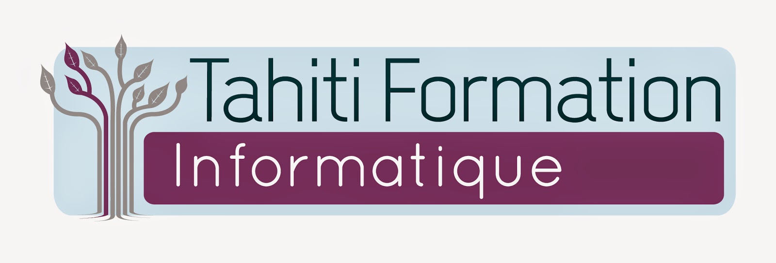 Tahiti Formation: Formations : informatique pro mars 2015 Tahiti