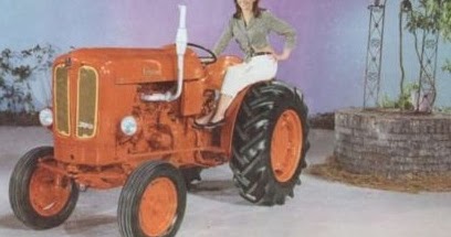 Pesados Argentinos: Fiat 350