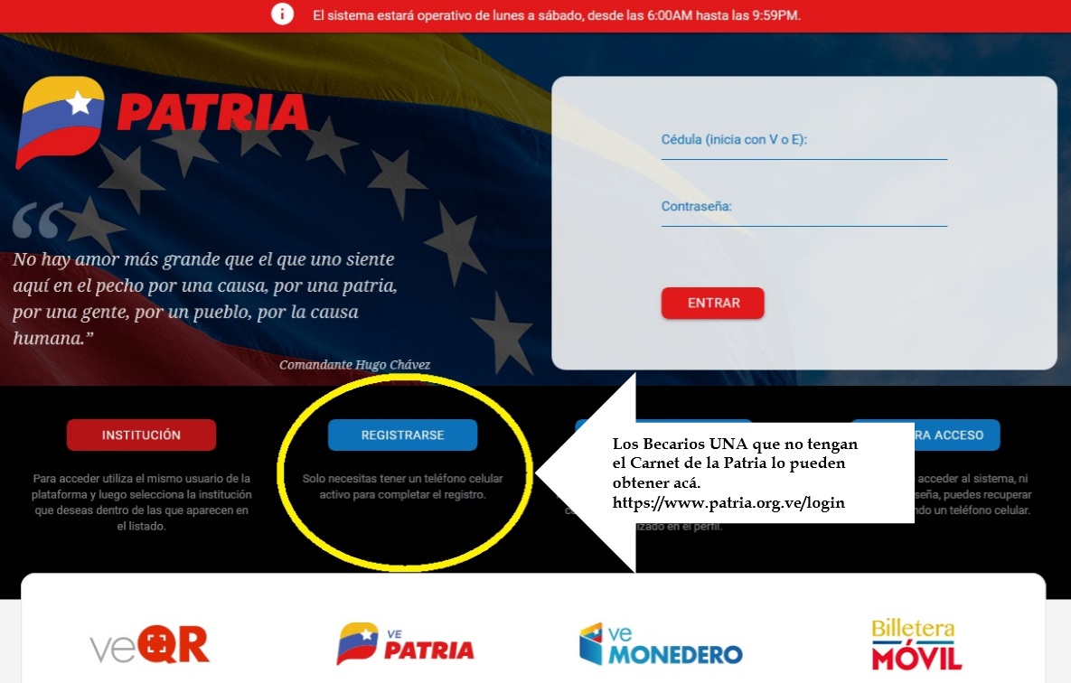 Representación del MPPEU en el Consejo Directivo de la UNA: Informe ...