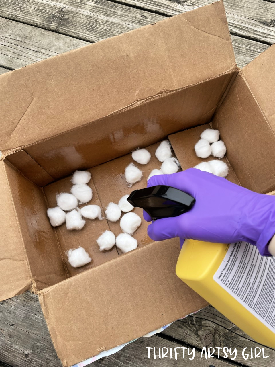 Thrifty Artsy Girl: The Next Chapter in my Journey with Lyme Disease ...