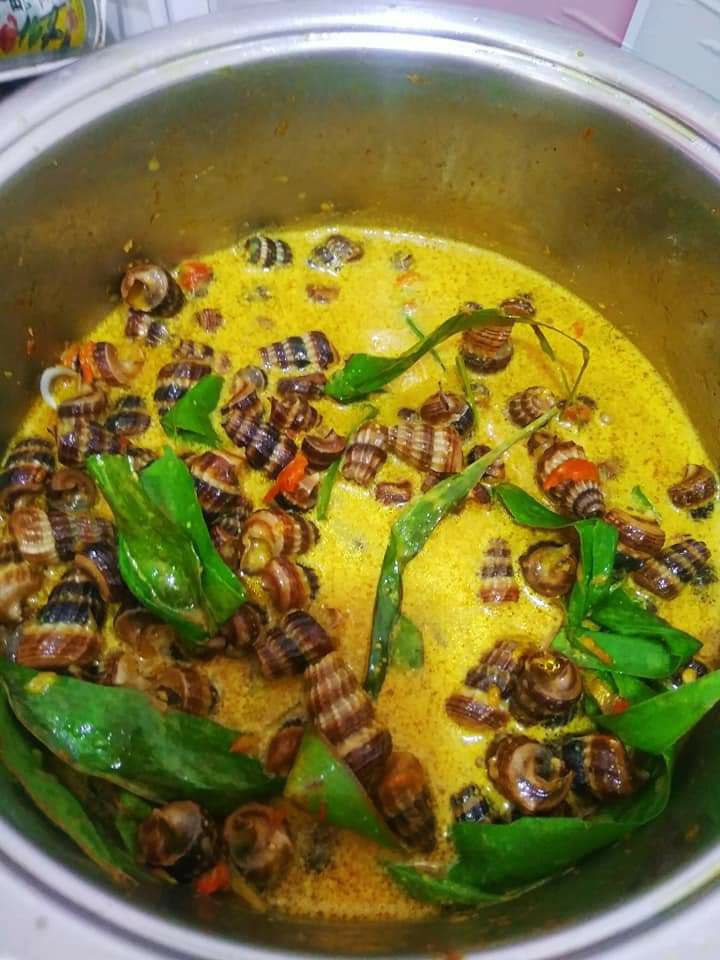 Resepi Masak Lemak Siput Sedut Yang Menyelerakan, Rahsia Tak Berbau ...