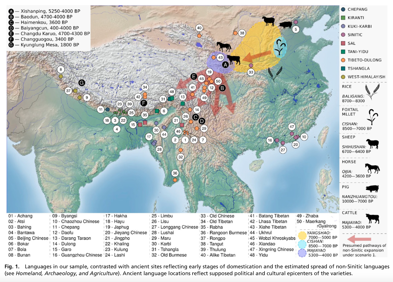 Mandarin Language Map