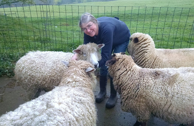 Knee Deep in Sheep: International Hug a Sheep Day!............Was Yesterday