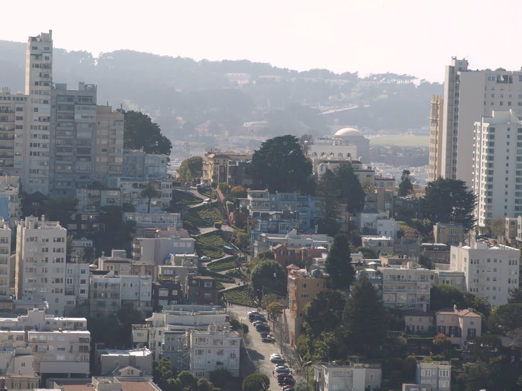 Jane Says: Walking to Coit Tower and the Parrots of Telegraph Hill