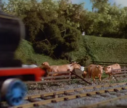 Thomas The Snark Engine: Season 2 Episode 2: Cows