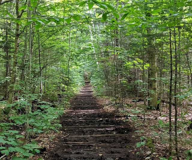 Katie Wanders : Semi Pemi Loop - Backpacking in the Whites