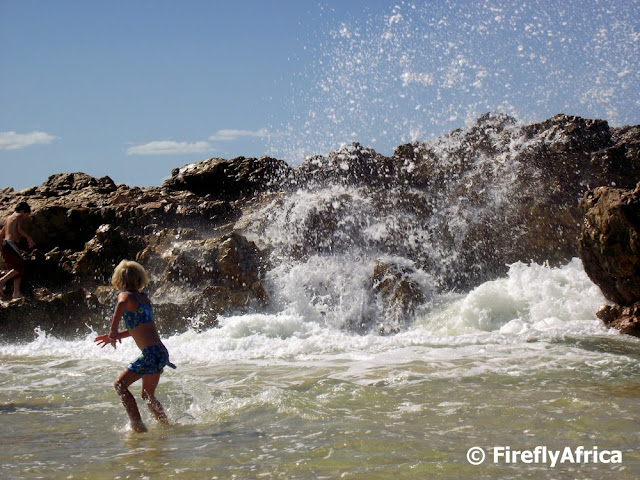 Port Elizabeth Daily Photo: March 2012