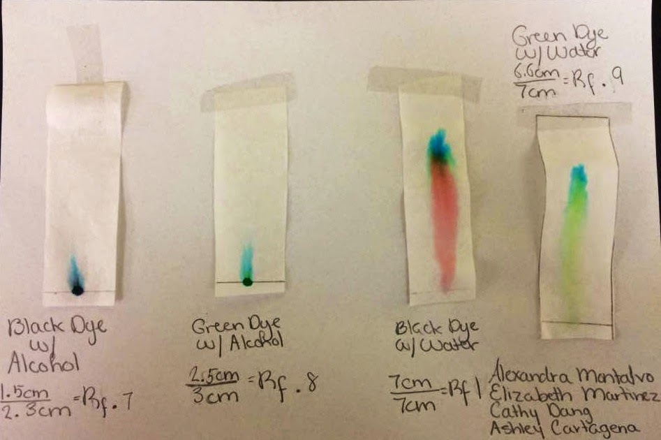 Cathy Dang 5 Paper Chromatography: October 2014