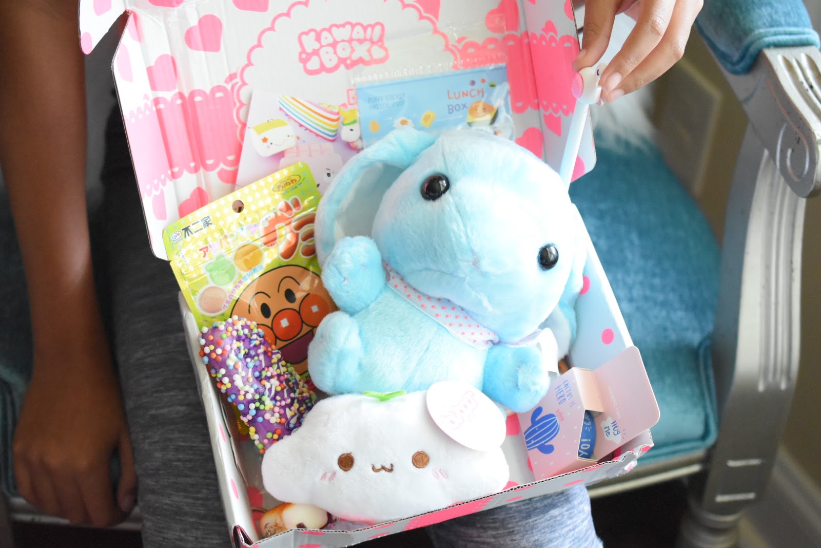 The Cutest Subscription Box Ever! Kawaii Box Review