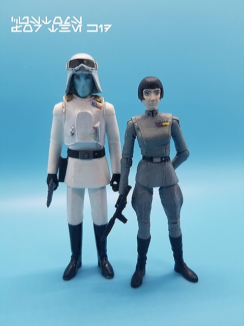 Customs for the Kid: Star Wars Rebels "Governor Arihnda Pryce" created ...