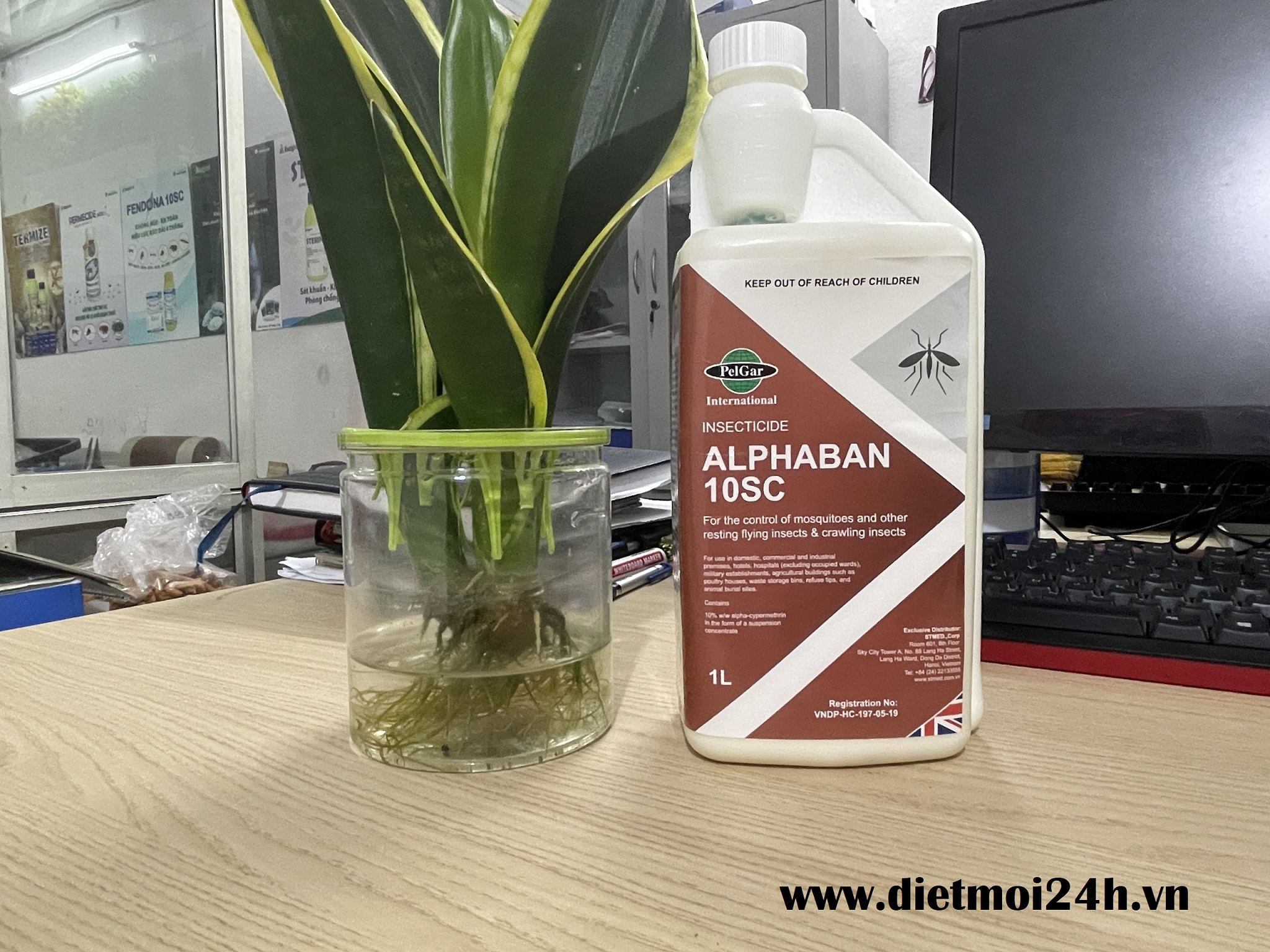 Thuốc diệt côn trùng Alphaban 10SC