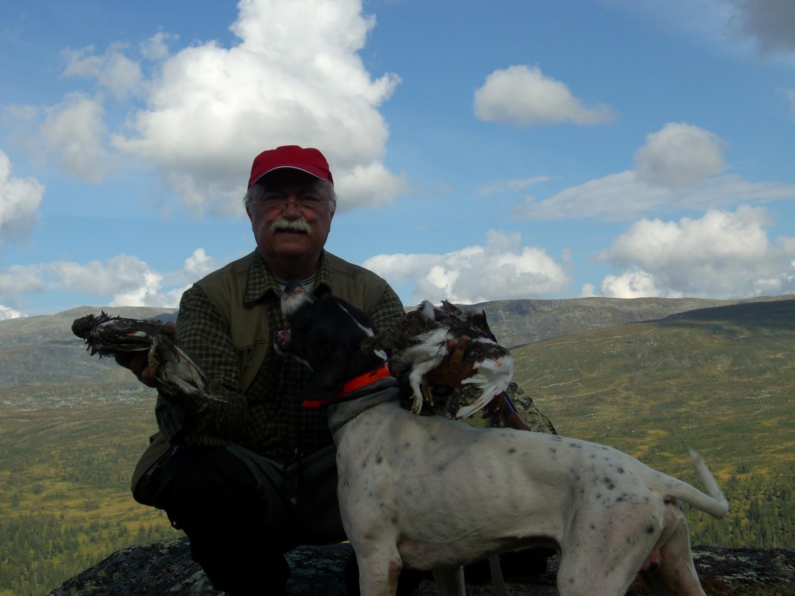 Κυνηγι με Setter και Pointer