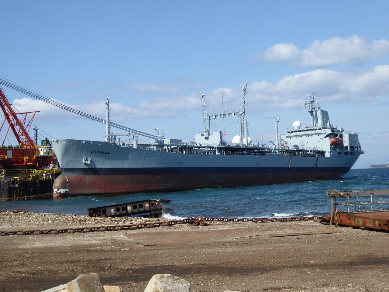 PBRstreetgangs Random stuff.: RFA Orangeleaf beached at Aliaga, turkey ...