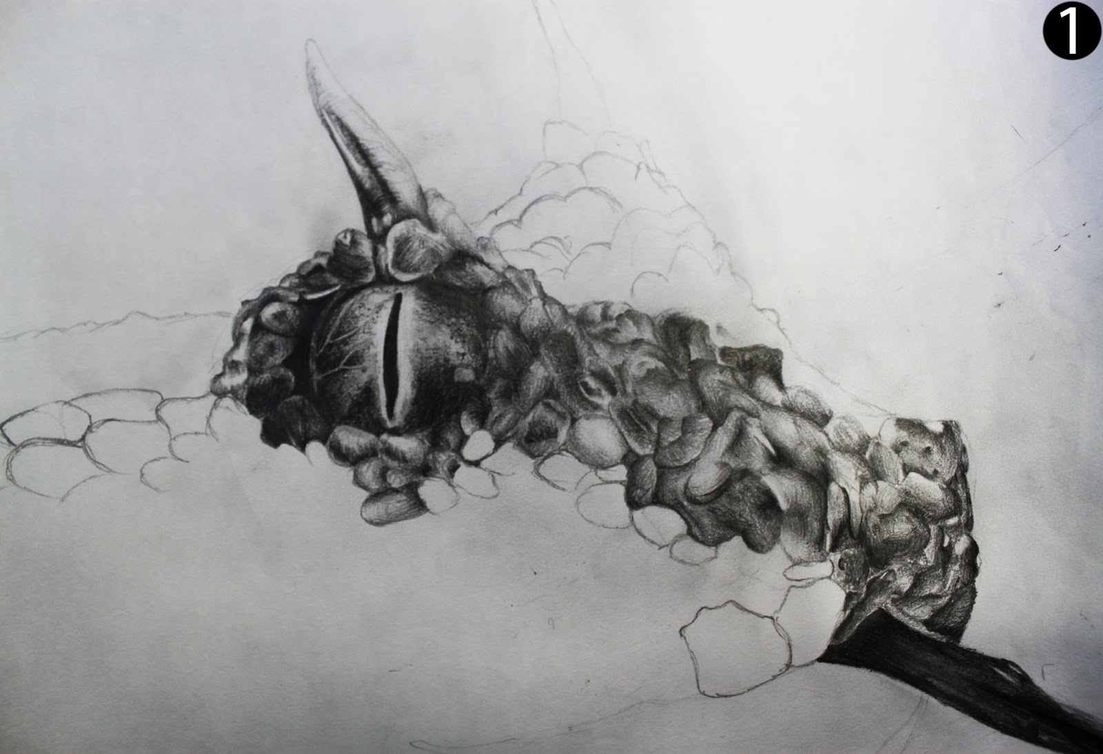 Art: Snake Head-Shading Pencil