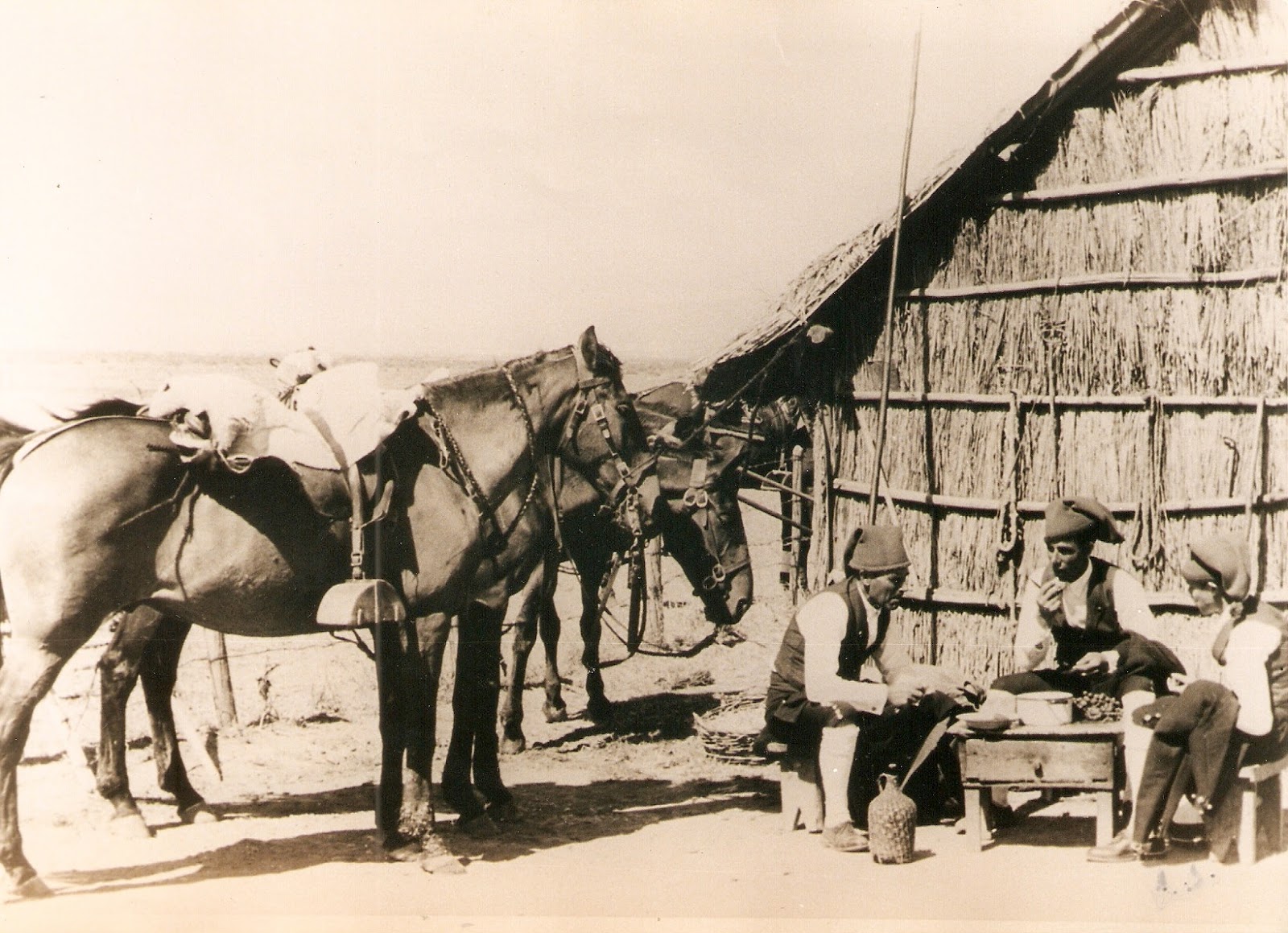 CAMPINOS DO RIBATEJO, Património Cultural Imaterial