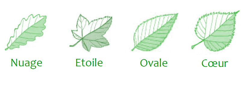 PS - GS Défi Nature 2