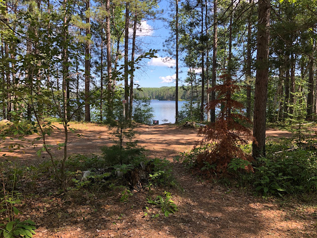 The Campsites: Lake St. Peter Ontario Provincial Park, site 43