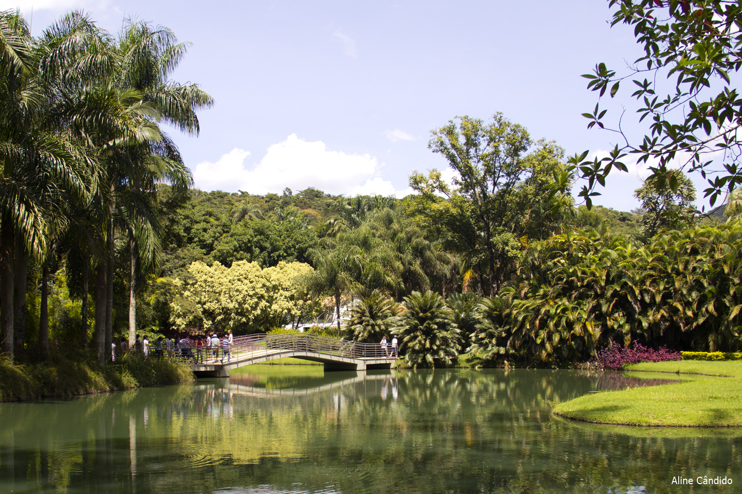 Essa viagem: A loucura de Inhotim - MG