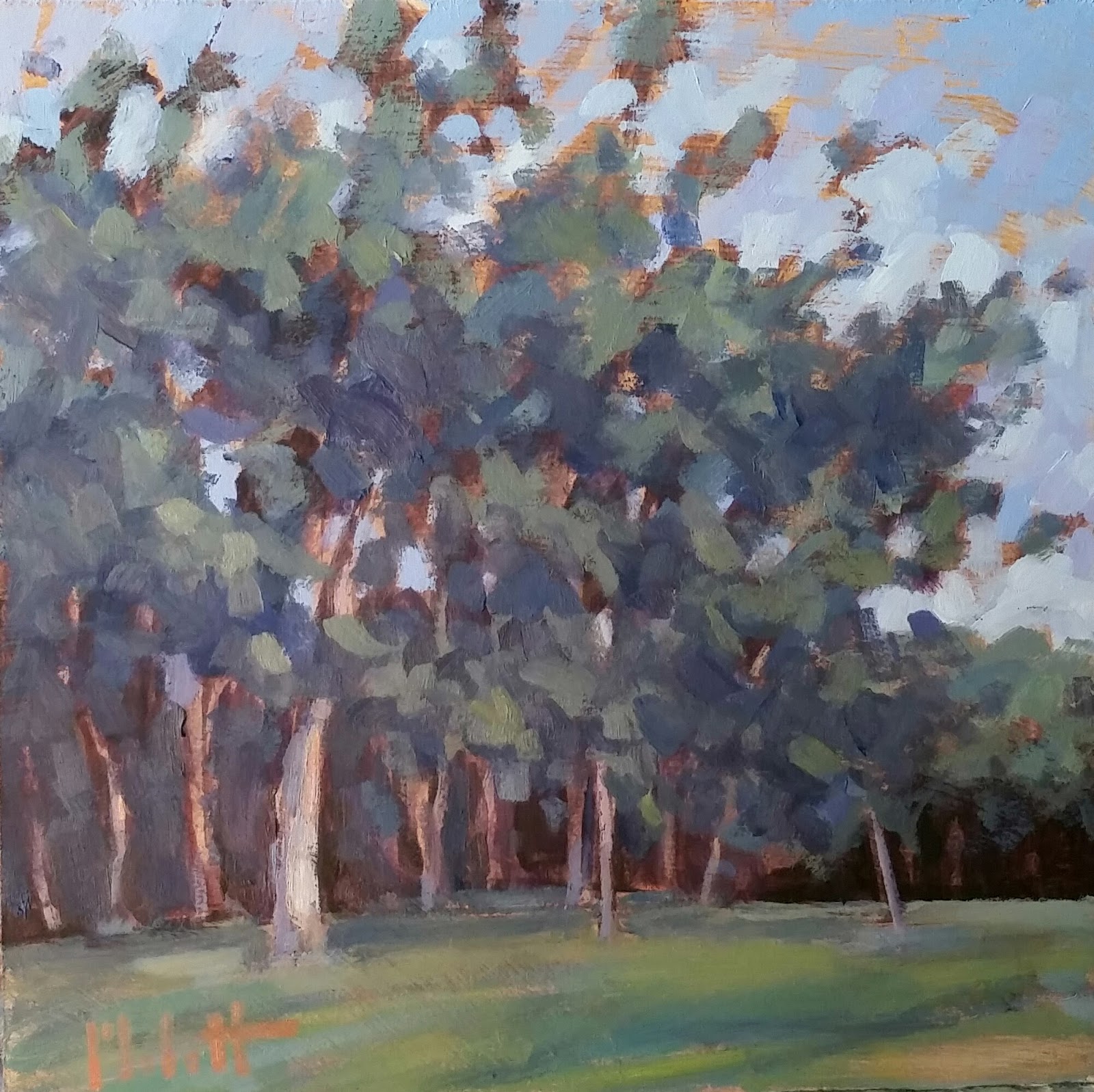 Original Oil Paintings Heidi Malott Contemporary Impressionism