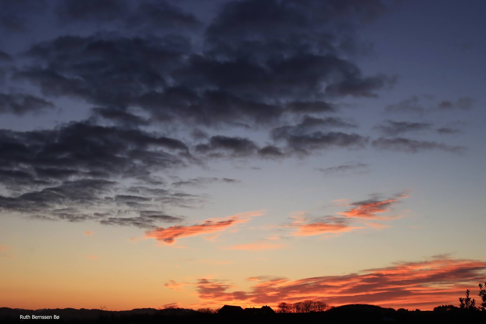 solsikken: sol opp og sol ned..
