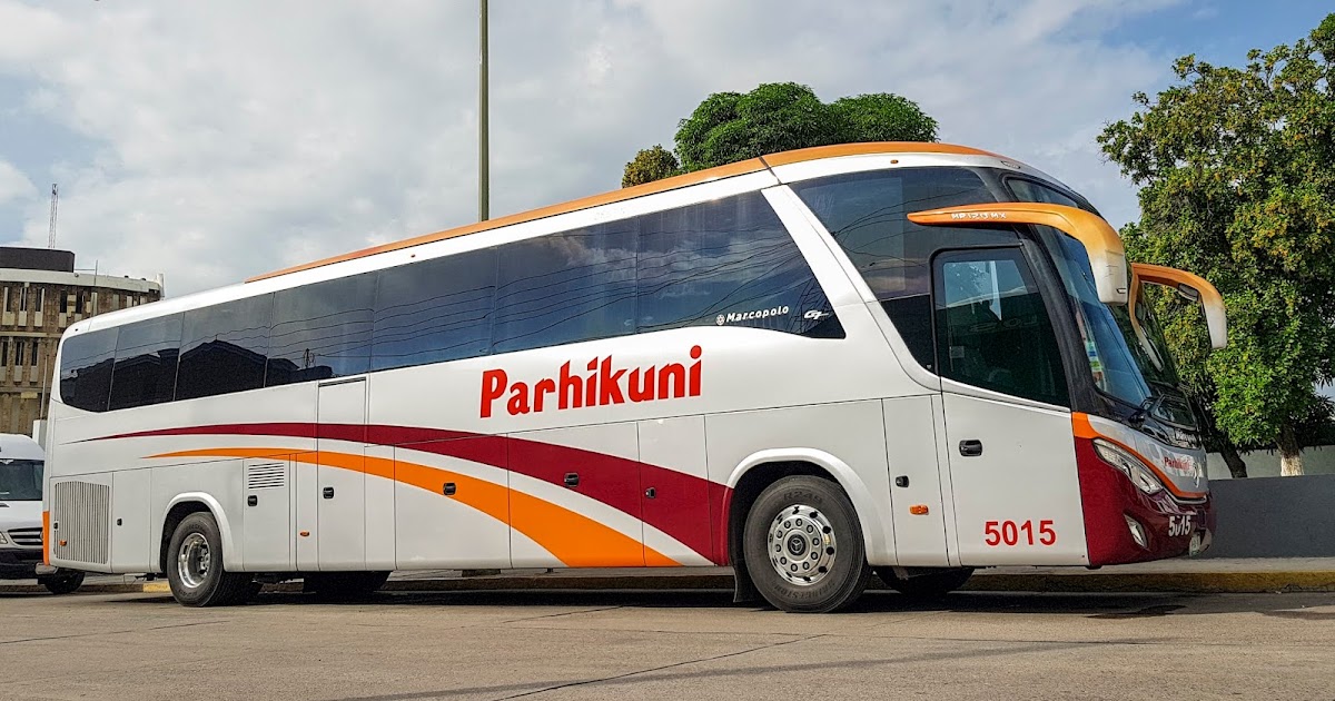 MAXIBUSES: DESTINOS PARHIKUNI, DIVISIÓN TURÍSTICA (TURISMO)
