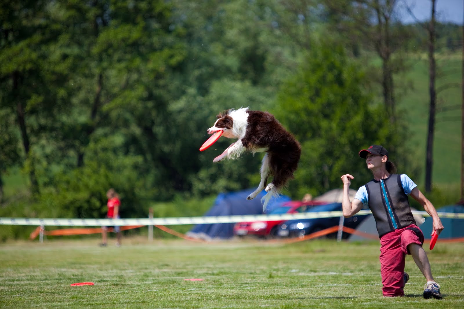 Flipsi - Dog frisbee