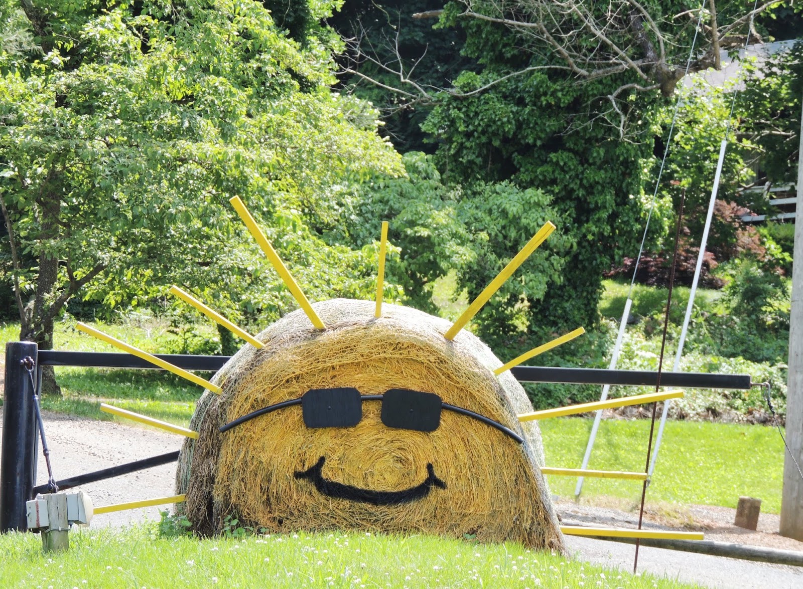 Let Your Light Shine: Hay Art