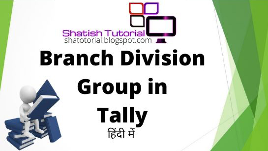 Branch Division Group in Tally
