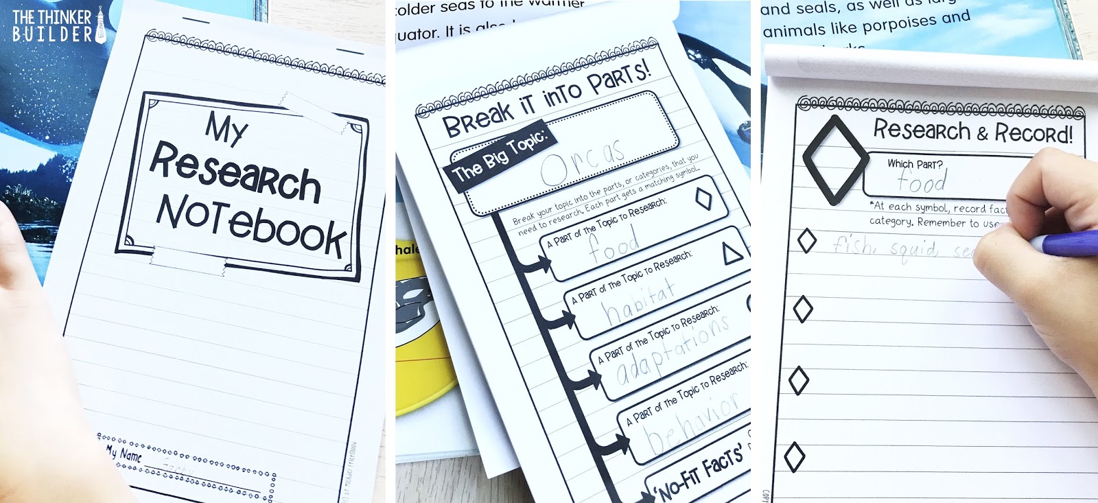 What to Do with the Rest of the Class during Reading Workshop or Rotations