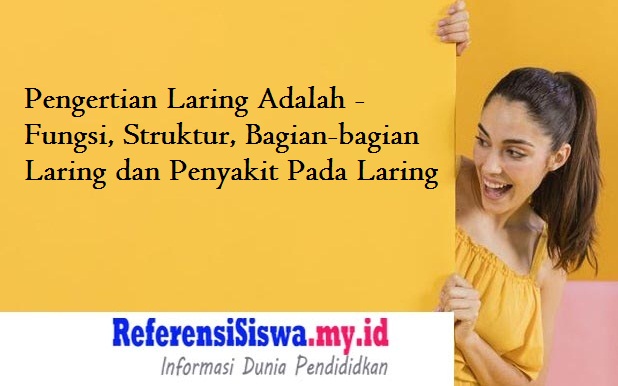 Pengertian Laring Adalah - Fungsi, Struktur, Bagian-bagian Laring dan ...