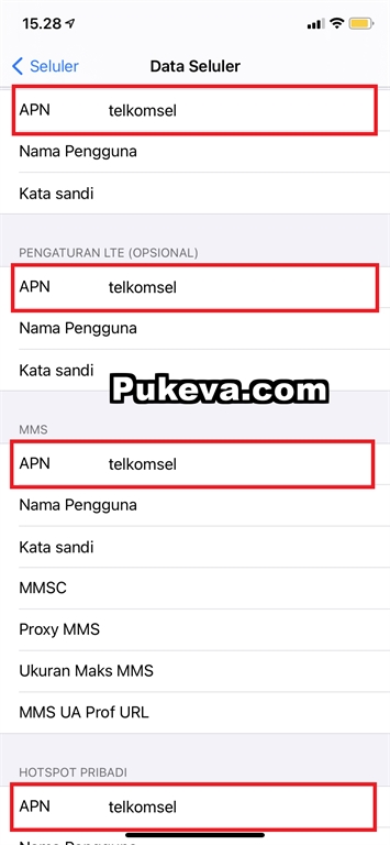 Cara Setting APN / Personal Hotspot Telkomsel di iPhone dan iPad | PUKEVA