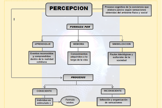 PROFESION: SER MAESTRO: EL CONCEPTO DE PERCEPCIÓN