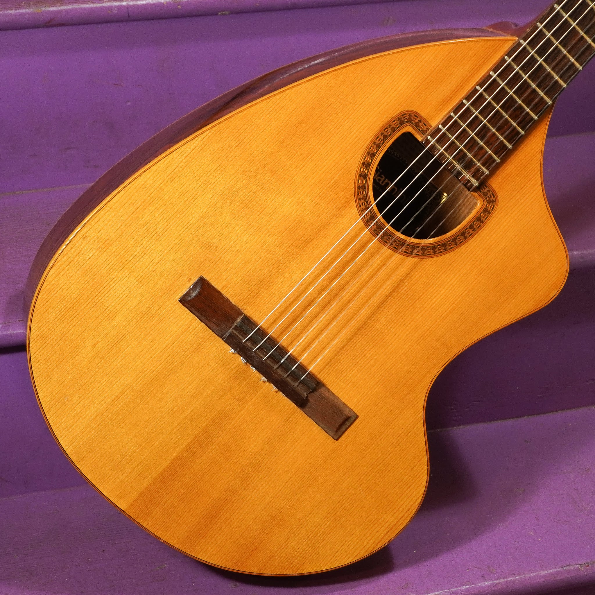 1970s Giannini Craviola Classical Guitar