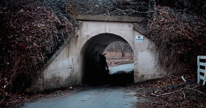 Bunny-Man Bridge Urban Legend | The Planet Today News From The World.