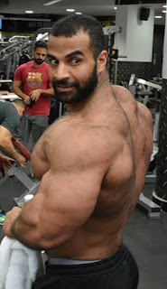 world bodybuilders pictures: misri bull bodybuilder Ahmed El Wardany