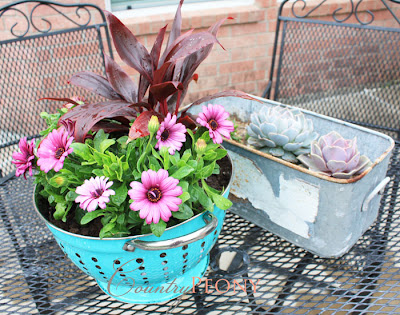 Country Peony: Colander Planter