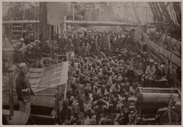 Semióticas: Imagens do Oitocentos