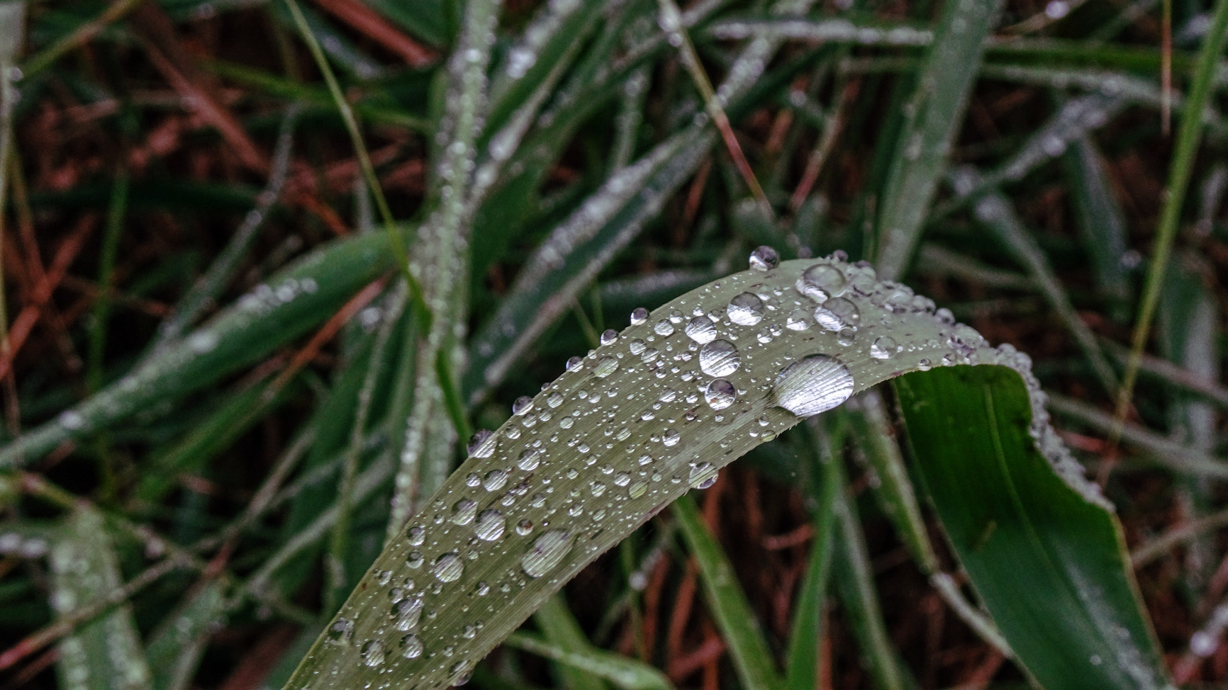 NixPixMix: RAINDROPS