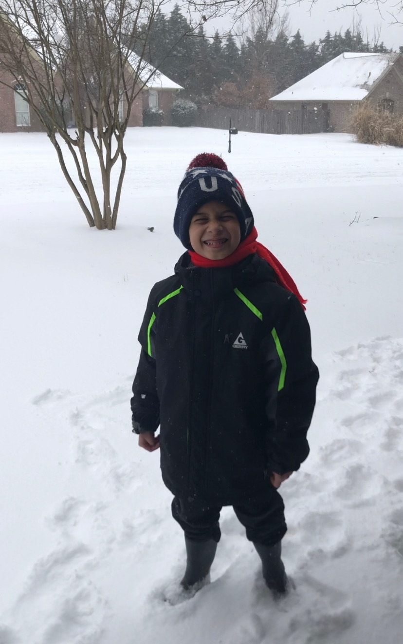 Little Colts Having Snow Much Fun little-colts-having-snow-much-fun