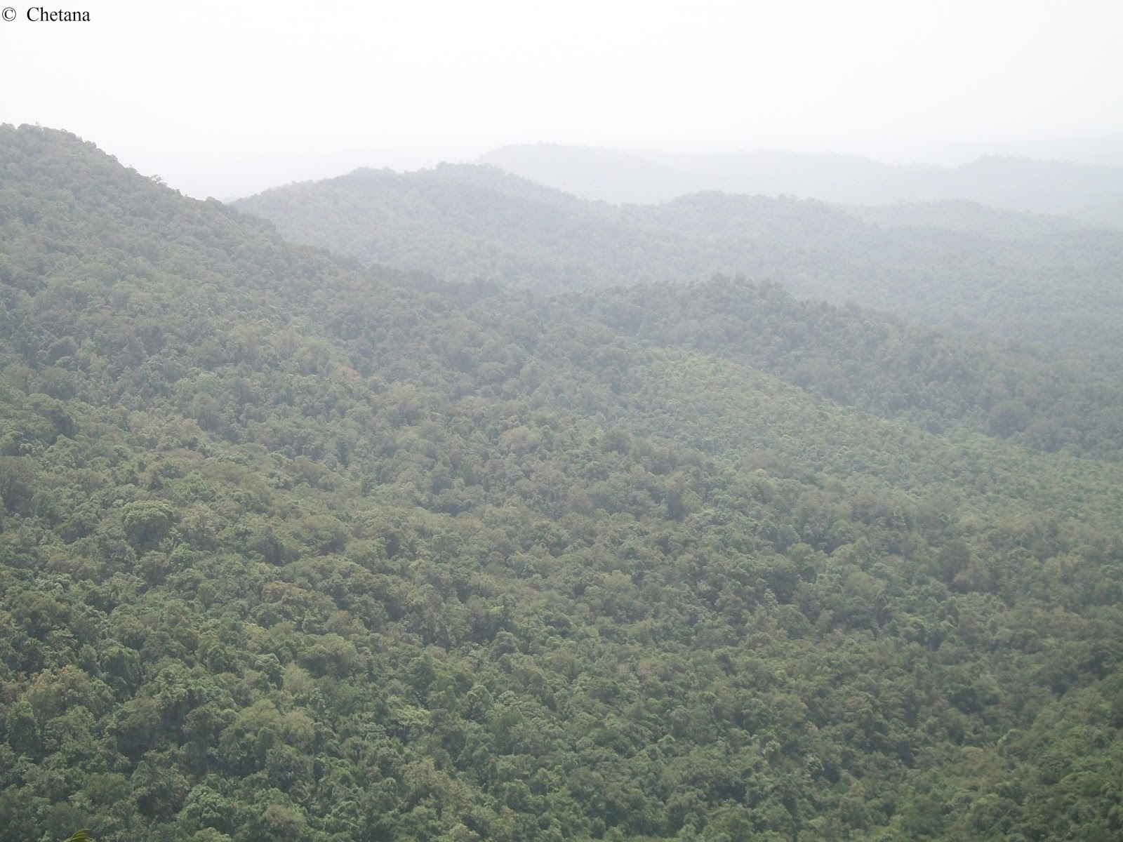 Prayanika - The Journey *******: Devimane Ghat - Beautiful Curvy Ghat ...