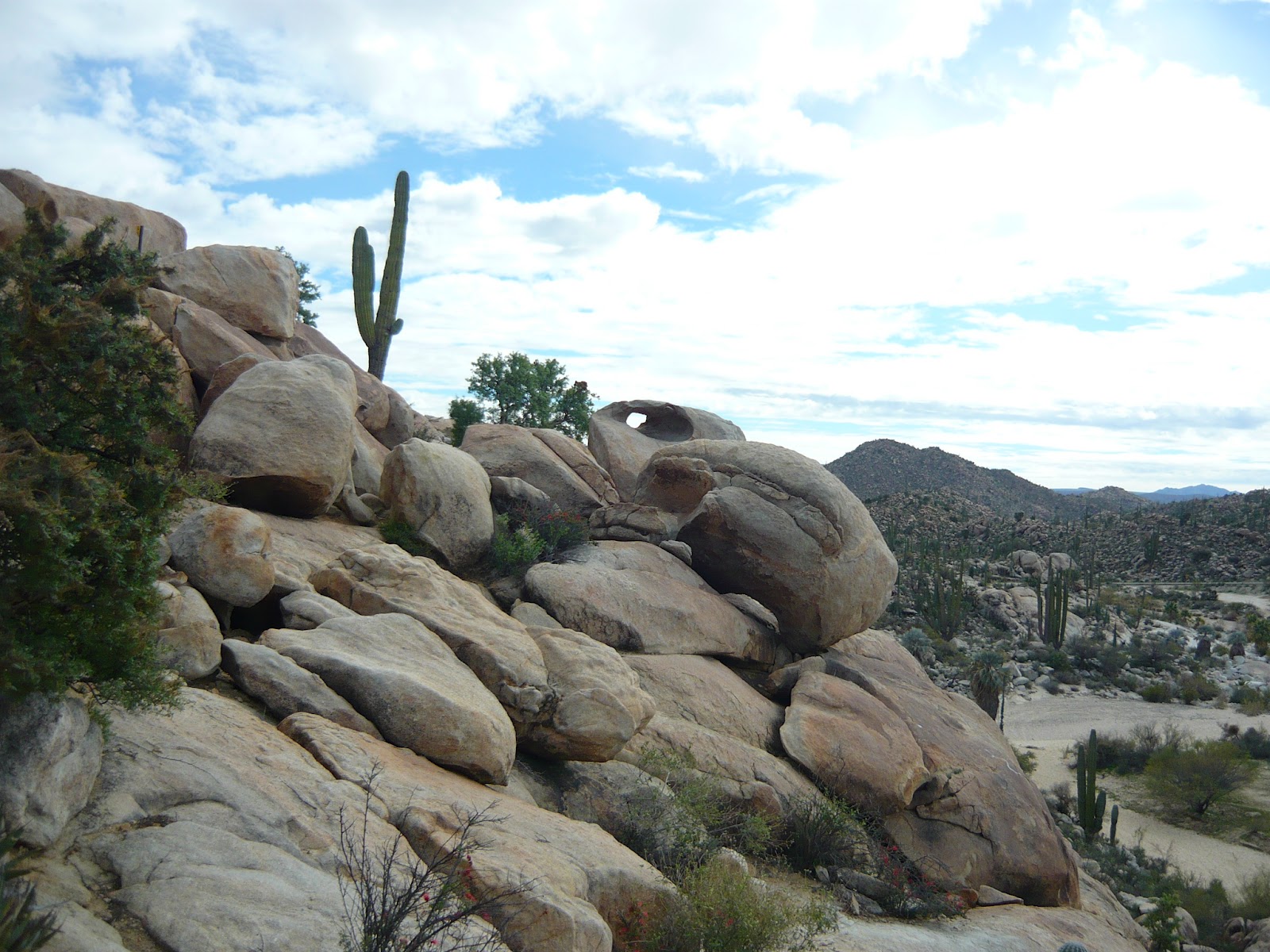 Walker: Zona arqueologíca cochimi BC