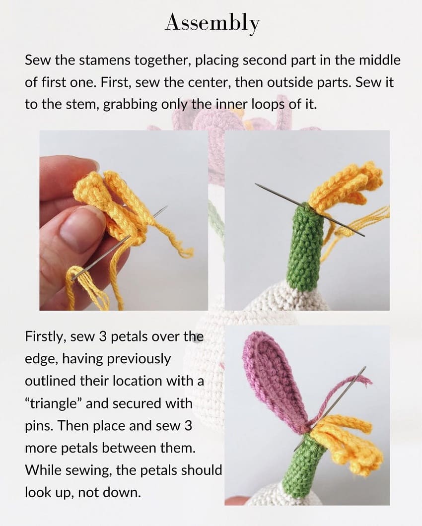 Flower crocus free crochet pattern | Amigurumi Space