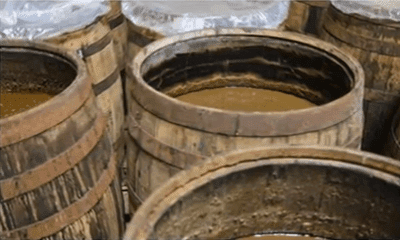 Processo de produção do Rum - Engquimicasantossp