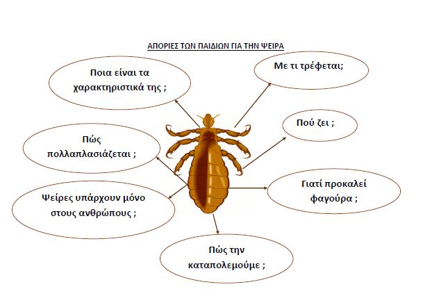 dreamskindergarten Το νηπιαγωγείο που ονειρεύομαι !: Όταν η ψείρα ...