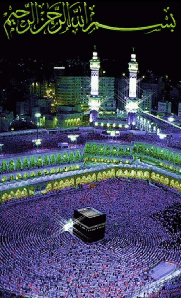 Macca Wallpaper HD - Wallpaper Box