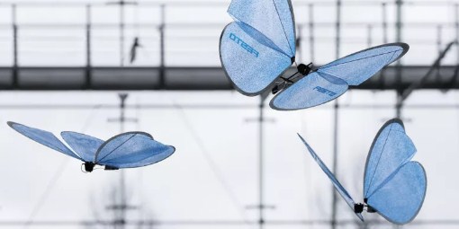 Festo Bionic Butterfly Robot Review Price | Robot Butterfly Specification